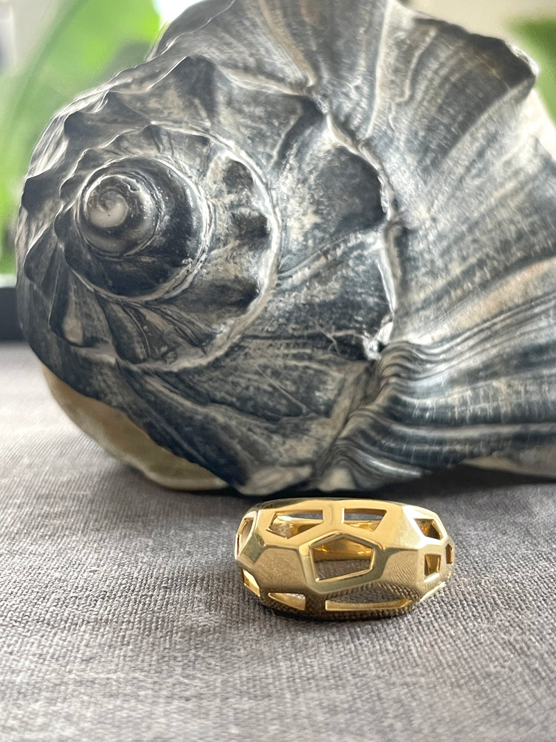 FACETTE PETITE CAGE RING – DELPHINE LEYMARIE